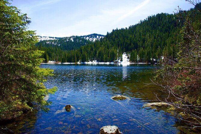 Olympic National Park Self-Guided Driving Audio Tour - Final Thoughts: Who Will Love This Tour?