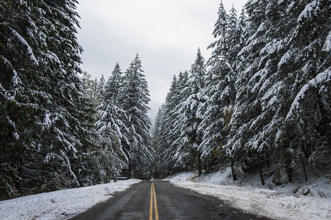 Olympic National Park Self-Guided Driving Audio Tour - FAQ