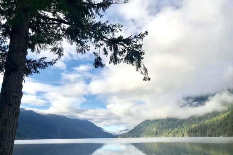 Olympic National Park Small Group Day Tour w/ State Ferries - Exploring Olympic National Park in Depth
