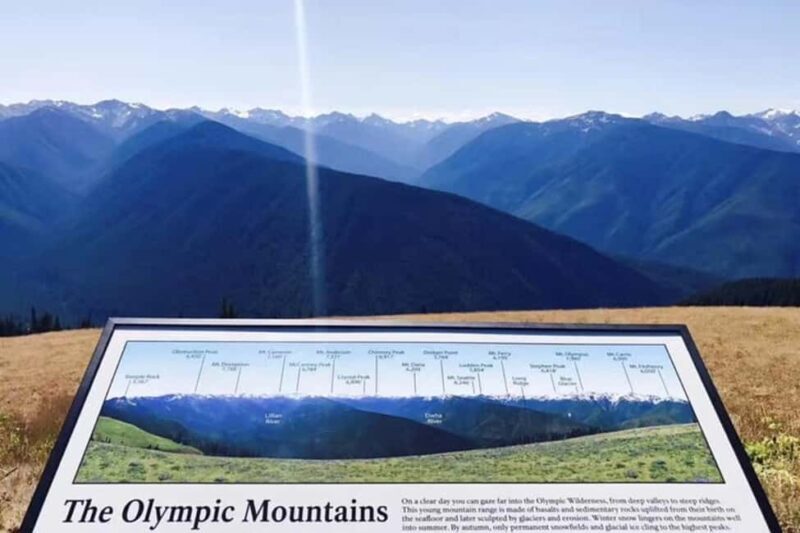 Olympic National Park Small Group Day Tour w/ State Ferries - The Sum Up