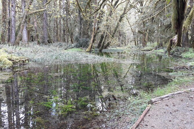 Olympic Peninsula and Forest Tour - Frequently Asked Questions