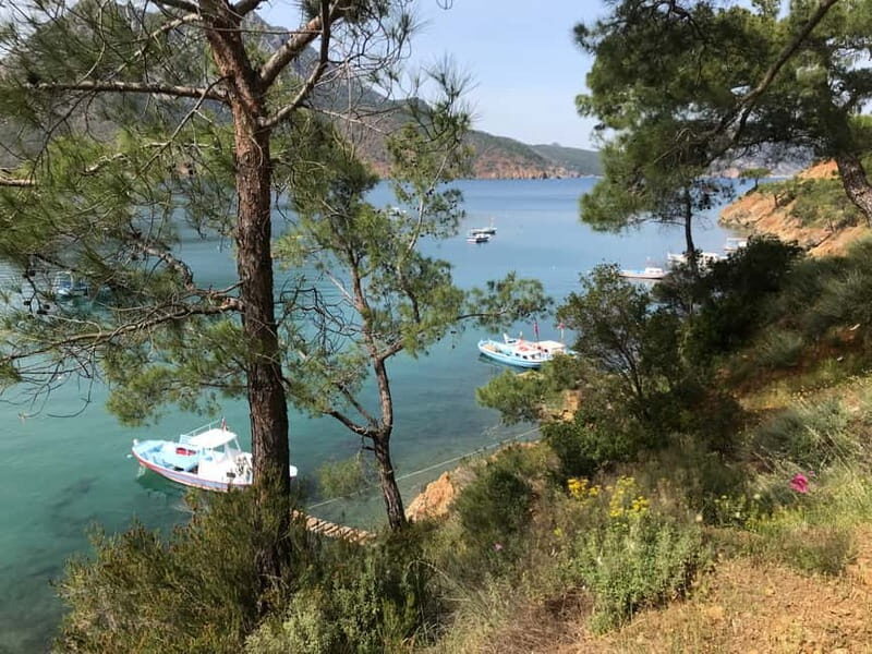 Olympos, Cirali, Chimera Night Tour with Dinner at Ulupinar - FAQ