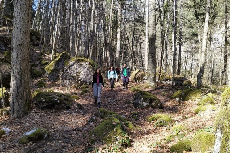 Olympus Highlights Hike - The Sum Up