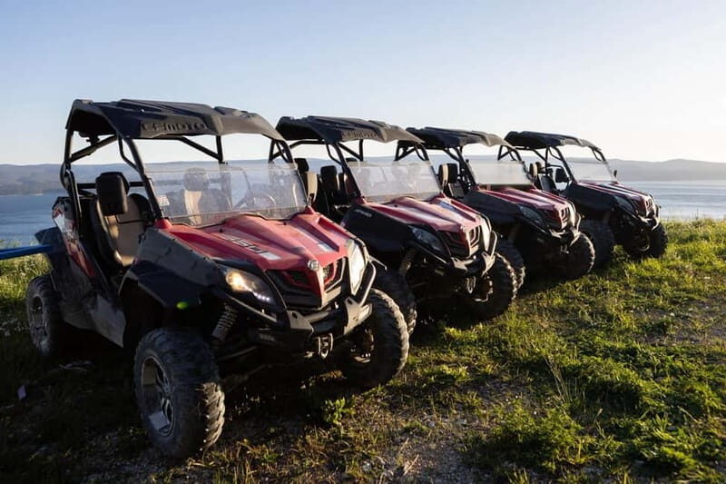 Omi: 2-Person Buggy Tour with Lunch and Wine Tasting - Key Points