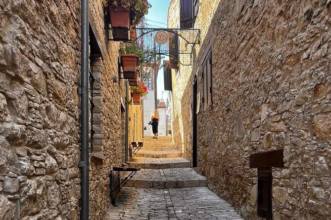Omodos and Winiary tour, let's feel winter in Cyprus Mountain. - Cost and Value