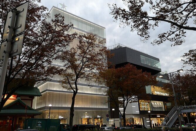 Omotesando and Shibuya Art and Culture Tour - What Travelers Say