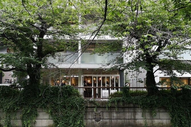 Omotesando & Shibuya Art and Culture Tour - Practical Details and What to Expect
