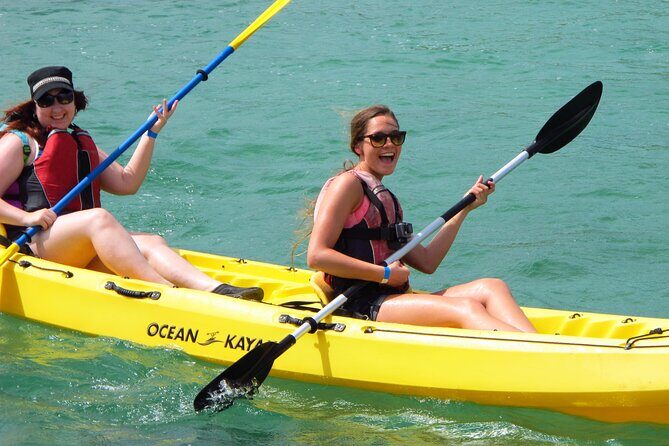 On Your Own: Kayak in the Mangrove Lagoon - Key Points