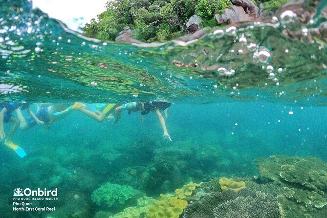 OnBird - Private family KID-FRIENDLY Snorkeling trip by speedboat in Phu Quoc - Is It Worth the Cost?