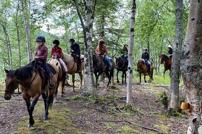 One and Half Hour Trail Ride at The Base of Chugach Mountains - A Closer Look at the Trail Ride Experience