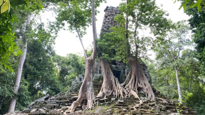 One Day Angkor Thom and Temples Tour from Siem Reap - An In-Depth Look at the Temples and Gates