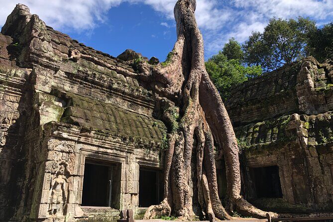 One Day Angkor Wat Bayon Ta Prohm From Siem Reap - Key Points