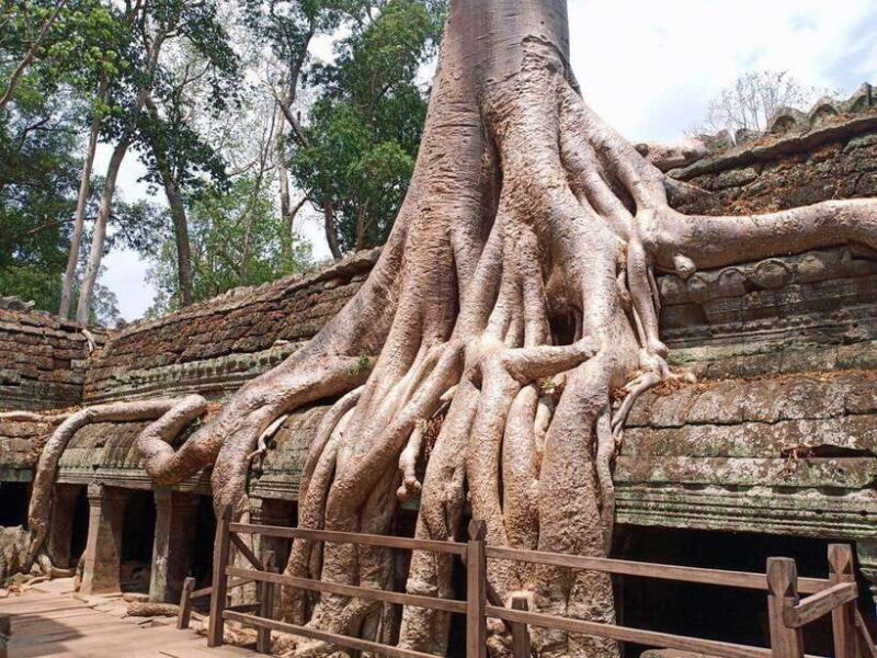 One Day Angkor Wat Trip with Sunset on Bakheng Hill - Key Points