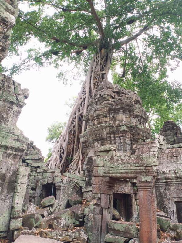 One Day Angkor Wat Trip with Sunset on Bakheng Hill - FAQ