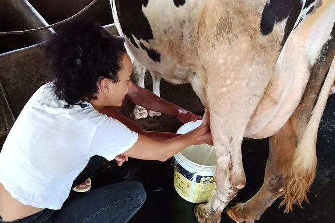 One day be Farmer and Master chef in Saigon - Exploring the Itinerary in Detail