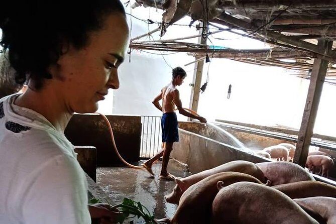 One day be Farmer and Master chef in Saigon - FAQ