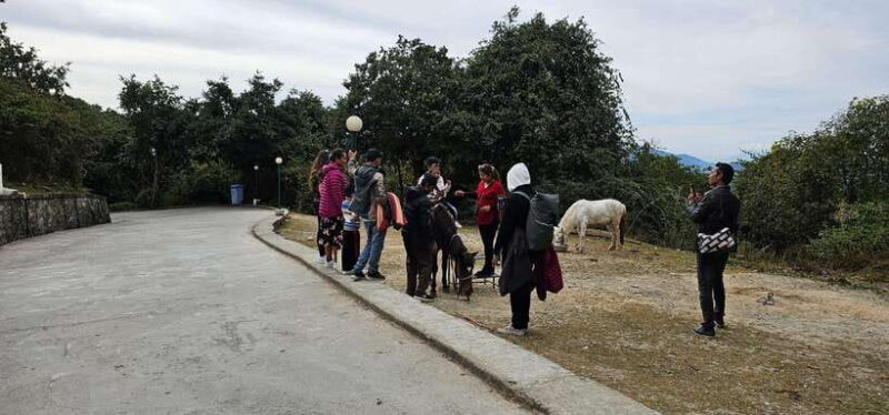 One Day Chandragiri Hill Private Tour - The Scenic Cable Car Ride