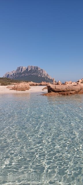 One day Cruise Sardinia North East - An In-Depth Look at the Experience