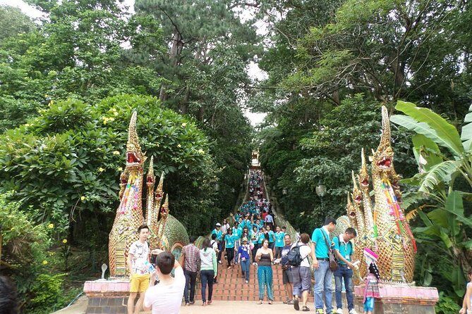 One day Doi Suthep Temple, Longneck hill tribe & Sticky waterfall - An In-Depth Look at the Itinerary