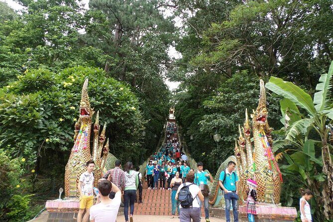 One day Doi Suthep Temple, Palad Temple & Sticky waterfall - Introduction: What This Tour Offers