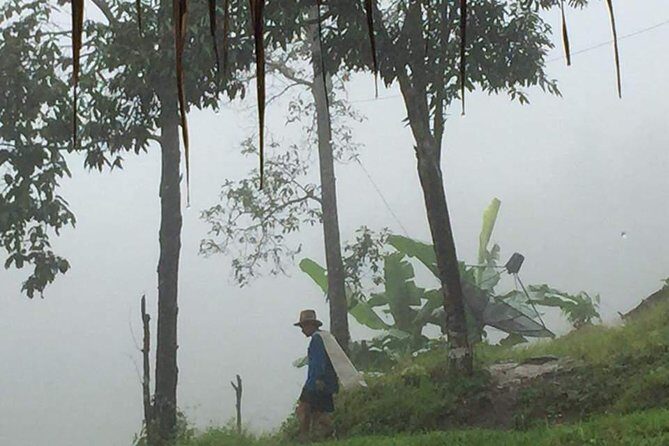 One day Elephants in Nature Experience & Grand Canyon Jumping - Visiting Elephant Natural Habitat