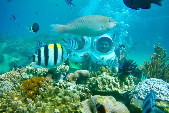 One Day Experiences In The Natural Life Nha Trang - Key Points