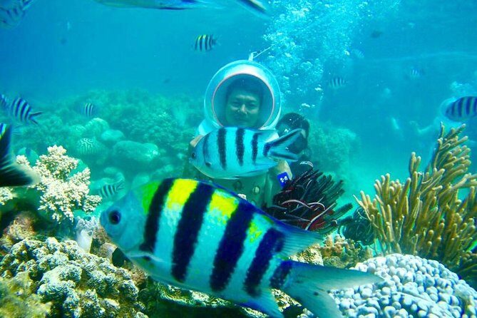 One Day Experiences In The Natural Life Nha Trang - In-Depth Review of the Experience