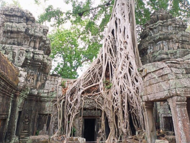 One Day Exploration to Angkor Wat, Angkor Thom & Ta Prohm - FAQs