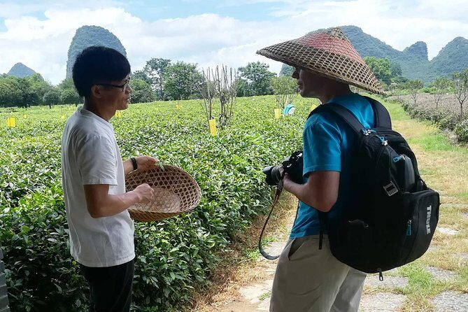 One Day Exploration to Daxu Old Town and Yaoshan Tea Plantation - Final Thoughts: Is This Tour Right for You?
