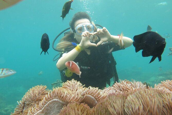 One Day Explore Nha Trang Islands & Join Floating Bar - FAQ