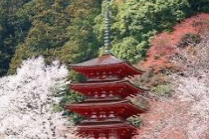 One day fully customize the tour for kamakura and Yokohama - The Practicalities