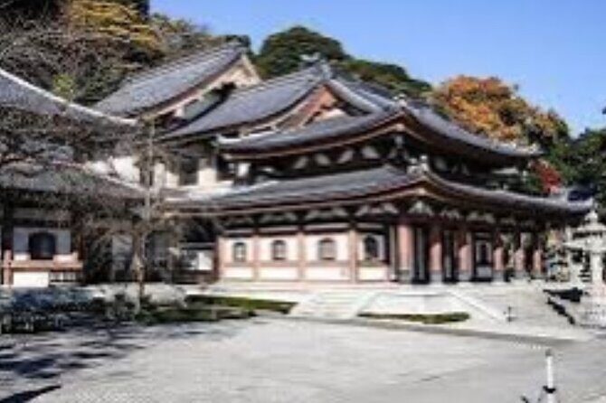 One day fully customize the tour for kamakura and Yokohama - Who Would Love This Tour?