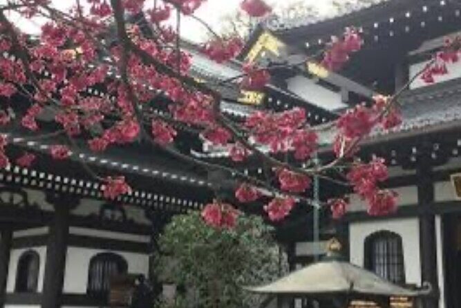 One day fully customize the tour for kamakura and Yokohama - FAQ