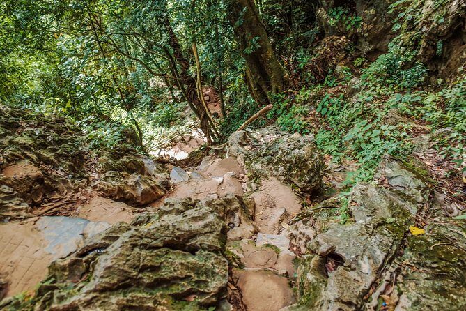 One Day Guided Tour: Kayaking, Zipline & Tubing In The Cave from Vang Vieng - A Close Look at the Itinerary