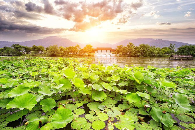 One-Day Hangzhou Dragon Well Tea Culture & West Lake Private Tour - Detailed Breakdown of the Itinerary