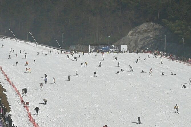 One-day Hangzhou Winter Skiing, Snowboarding and Hot Spring Trip - Lunch and Flexibility at Daming Mountain