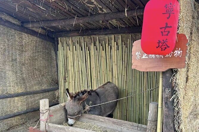 One Day Harbin Winter Expedition Jingpo Lake Sunrise and Fishing - Practical Aspects: Transport, Duration, and Cost