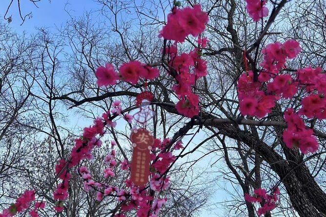 One Day Harbin Winter Expedition Jingpo Lake Sunrise and Fishing - What Travelers Should Keep in Mind