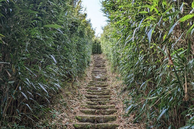 One Day Hike around Taipei's Yangmingshan National Park - Who Should Consider This Tour?