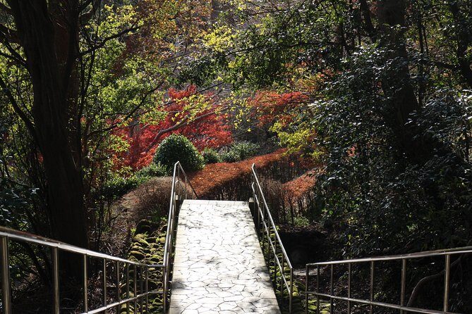 One day Hike, Thrilling Mt. Nokogiri & Giant Buddha - The Sum Up: The Value of a Mountain Escape