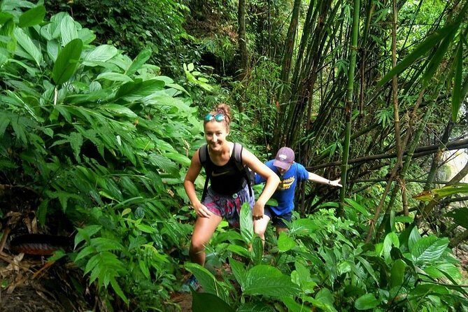 One Day Hiking and Elephant experience by Chiang Mai Elephant Home - Key Points