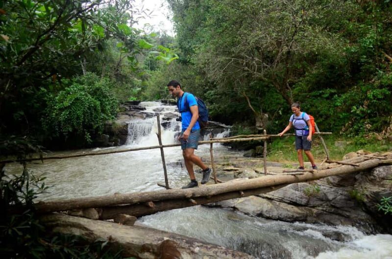 One day hiking tour in Chaing Mai - Key Points: