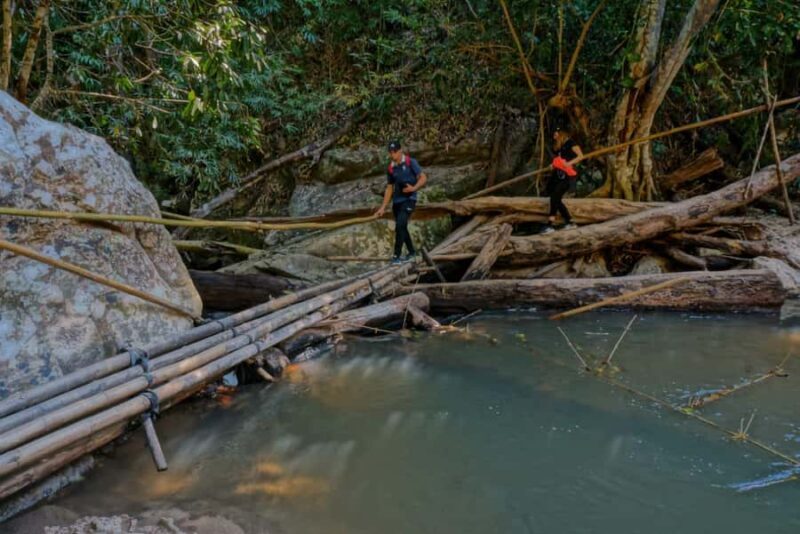 One day hiking tour in Chaing Mai - Pricing and Overall Value