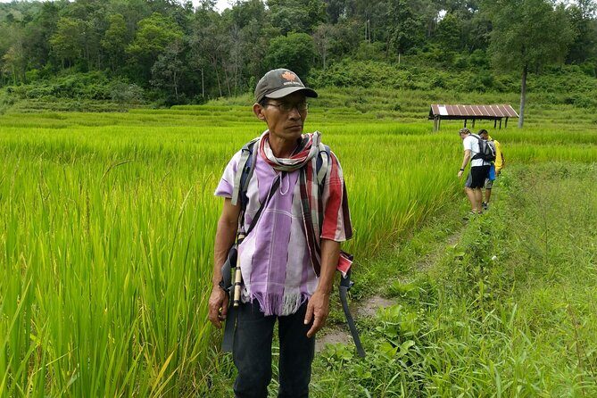 One day hiking tour in Chiang Mai - The Practicalities: What You Need to Know