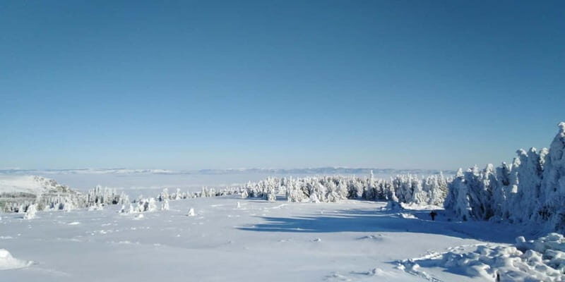 One-Day Hiking with Snowshoes on Vitosha - Exploring the One-Day Hiking with Snowshoes on Vitosha