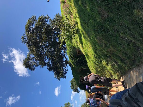 One day Hobbiton Movie set visit from Auckland - Introduction: Whats in it for you?