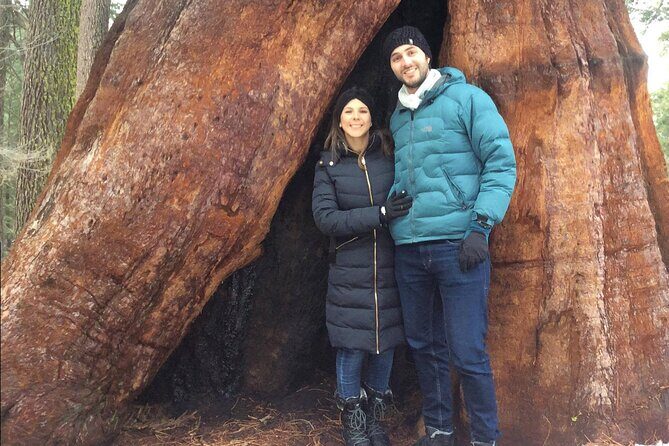 One Day In Yosemite Private Tour:Yosemite Valley, Glacier Point & Giant Sequoias - The Cost and Value