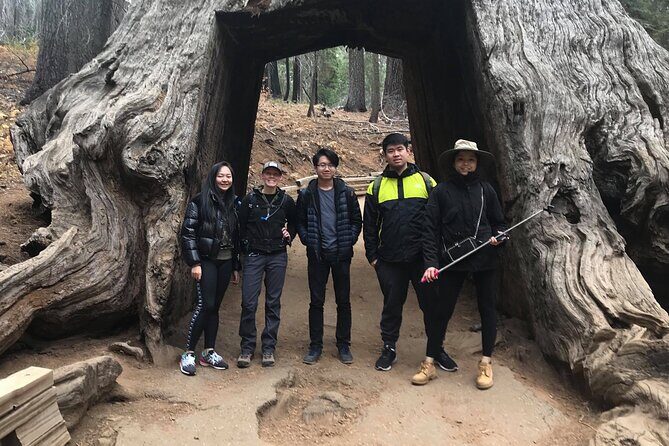 One Day In Yosemite Private Tour:Yosemite Valley, Glacier Point & Giant Sequoias - Final Thoughts