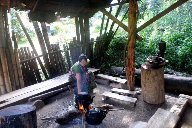 One Day Inthanon National Park (Private Tour) - Practical Details and Value