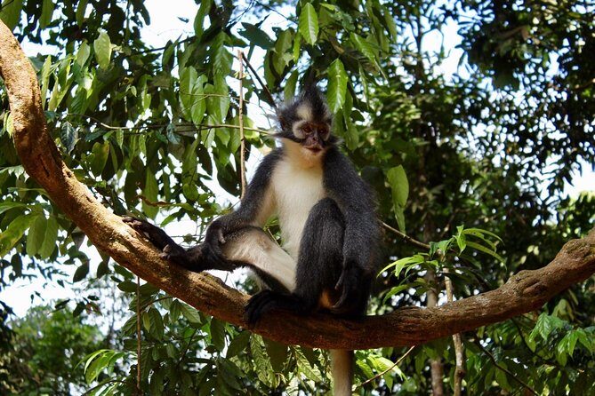 ONE DAY JUNGLE TREKKING 6-7 hours (see orang utan) + RAFTING in BUKIT LAWANG - Final Thoughts